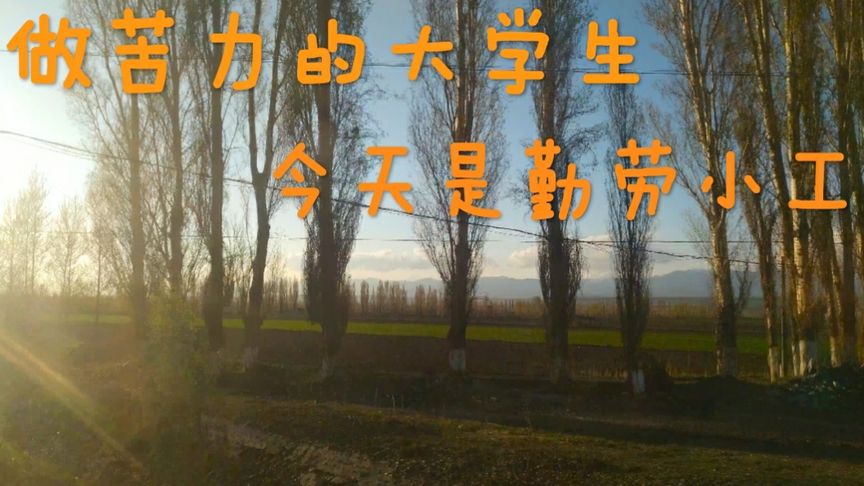 劳动人民智慧的结晶-独轮手推车,今日使用体验:老祖先们太牛了