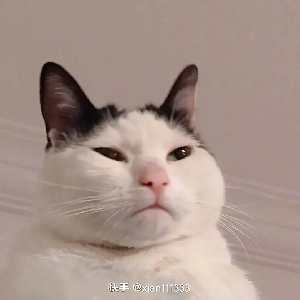 夕欧不是欧 