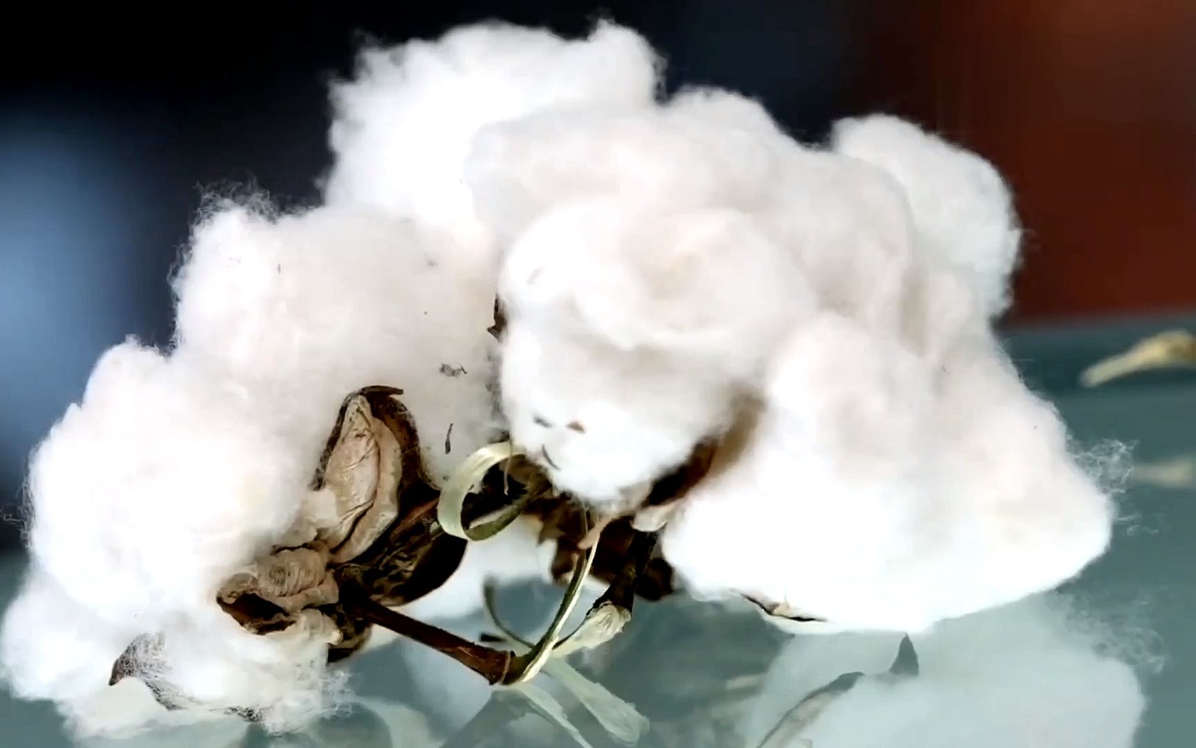 棉线衣究竟是怎么制作的?从棉花到衣服其实只有五个步骤