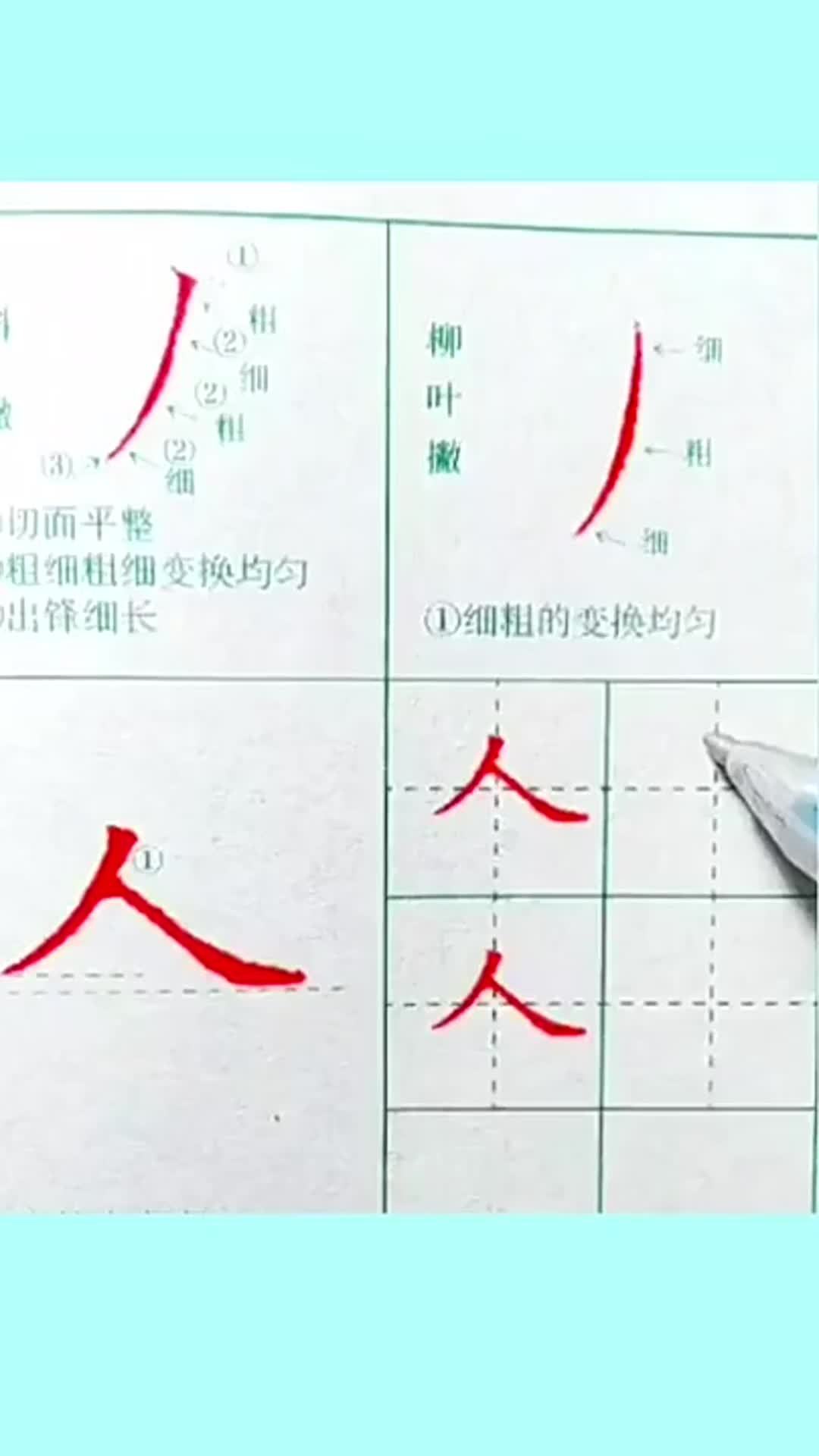 练字必备:硬笔书写、书法、楷书全攻略
