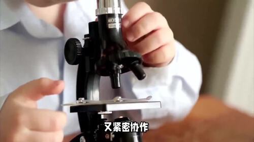 显微镜目镜物镜如何区分