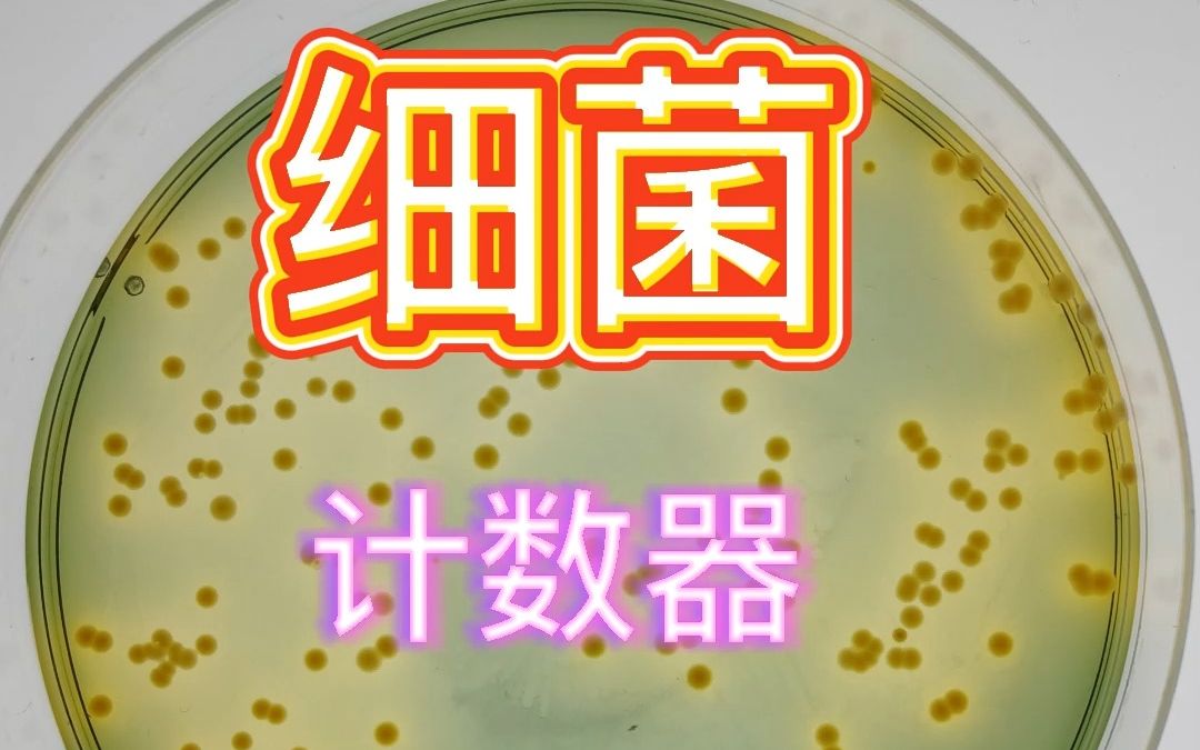 细菌计数器,快速计数细菌数量