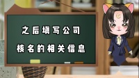 网上公司注册流程