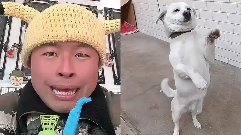 小狗狗跳舞了。真的太棒了