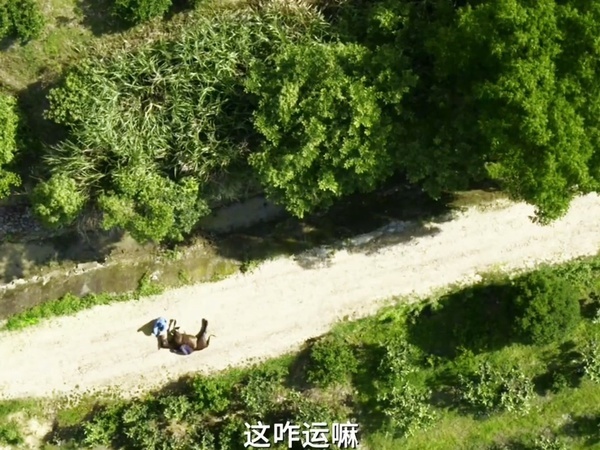 为了活命!他们完成了不可能完成的任务!都是被逼出来的…