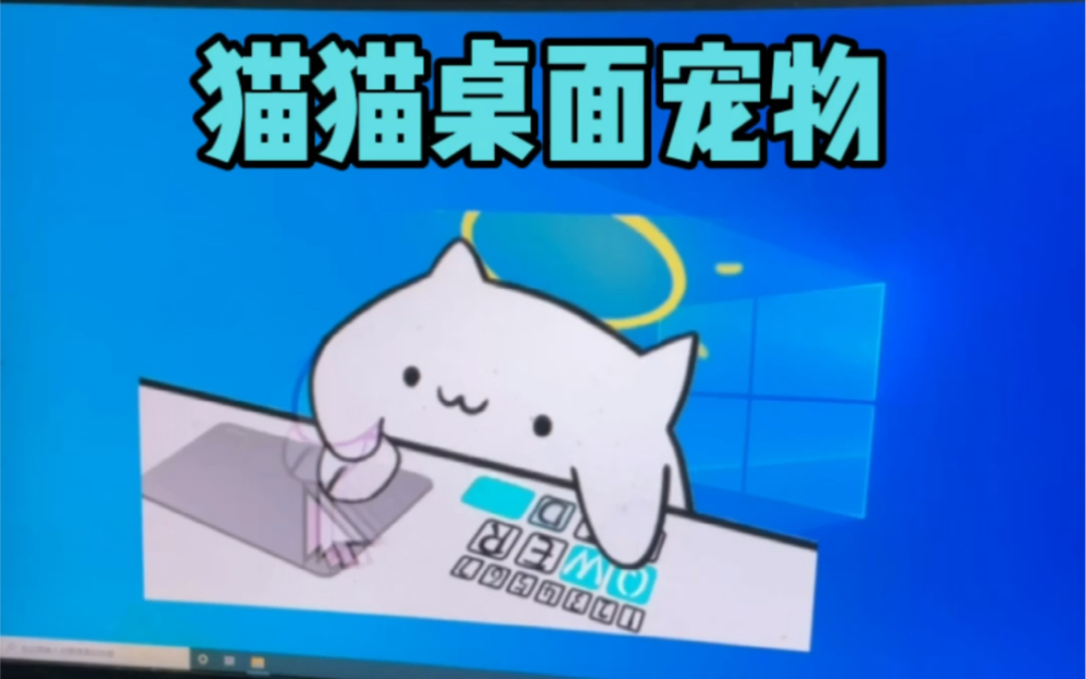 (电脑小技巧)这么可爱的桌宠猫你养了吗?