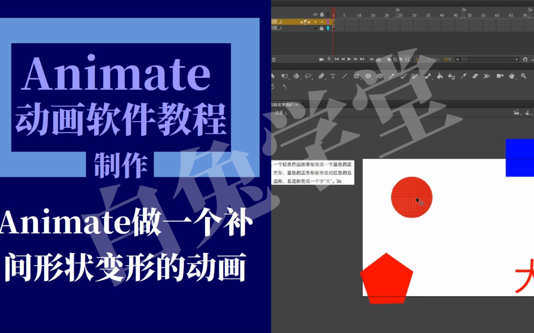 Animate做一个补间形状变形的动画