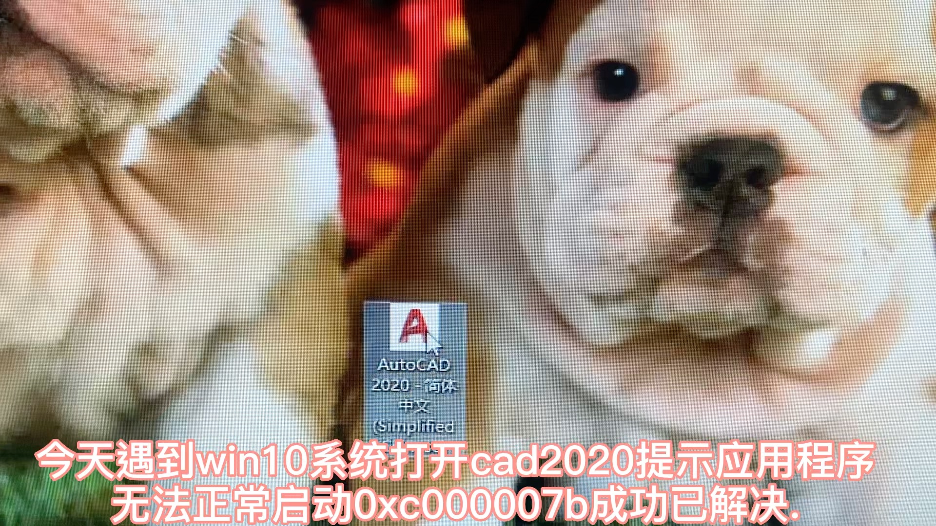 今天遇到win10系统打开cad2020提示应用程序无法正常启动0xc...