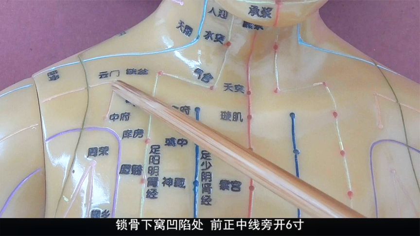 云门穴功效:清肺理气。主治疾病:肺部疾患,热证,呃逆。