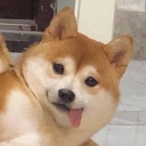 着-_-迷 