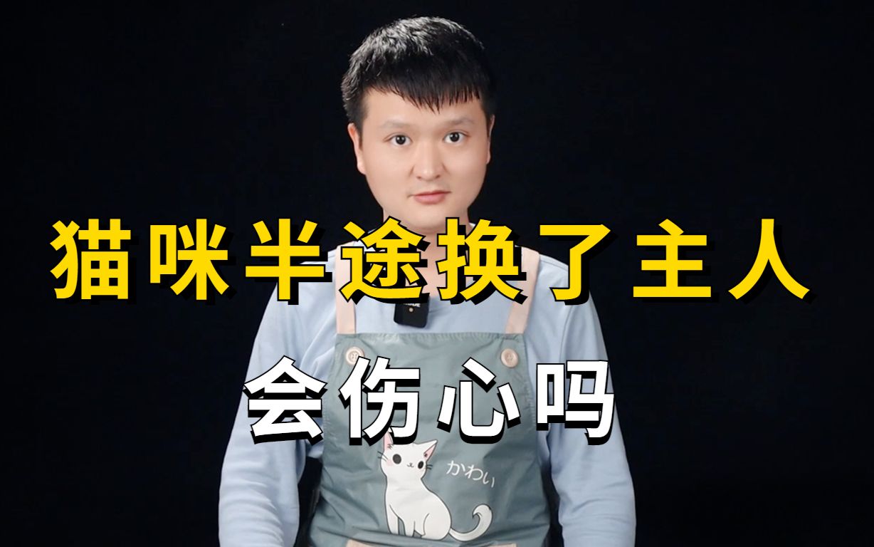 猫咪“中途”突然换主人,它会伤心吗?