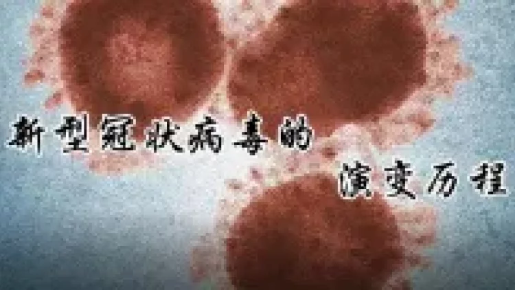 新型冠状病毒进化史!从何而来,如何演变、传染,这个视频讲全了