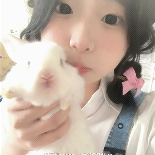 彦页百科 