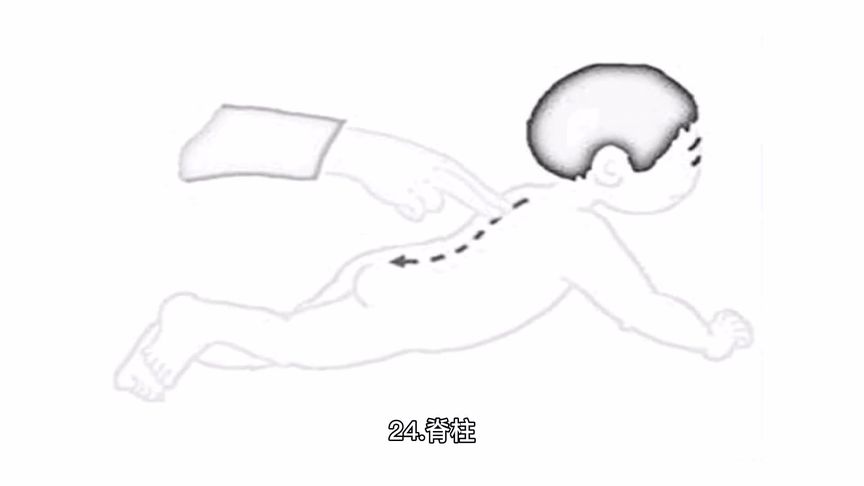 小儿推拿常见穴位及作用(二十四)脊柱#中医 #小儿推拿