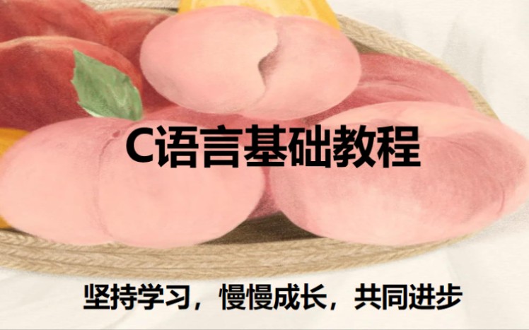 C语言精品编程课程 C语言学习 C语言零基础学习 C语言入门 编程入门...