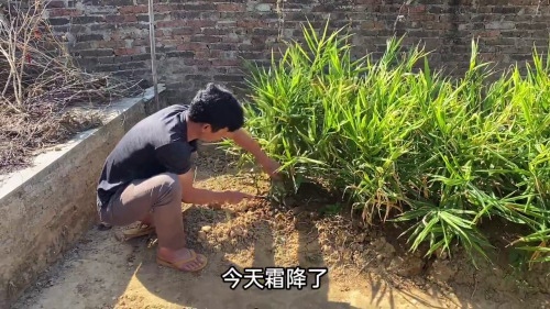 广西农村猪肉价格飞涨,买一斤肉全家分五餐吃,看看到底有多贵