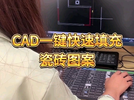 CAD快速填充瓷砖图案