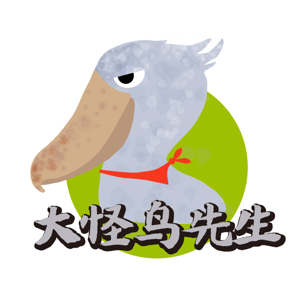 大怪鸟先生 