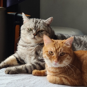 尼古拉木有丝儿 