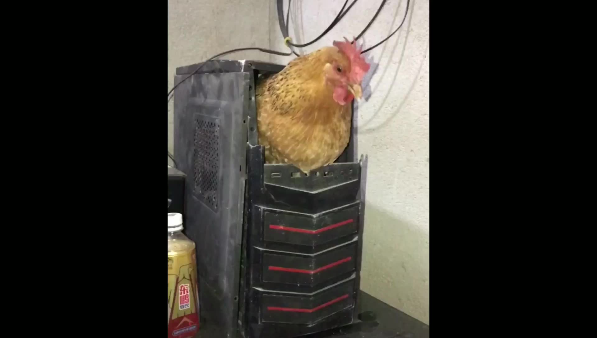 (捡垃圾)被忽略的超强CPU.加400捡来的X99主板.性能怎么样