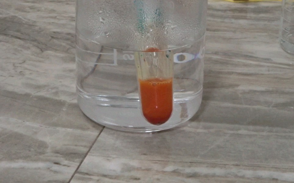高中生物检测还原糖和蛋白质的实验