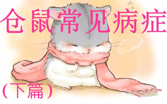 【科普】仓鼠常见病症(下篇),愿每只鼠鼠都平安、健康。