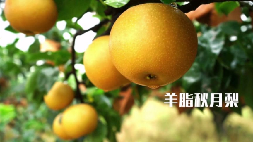 企业简介(下)#企业宣传片