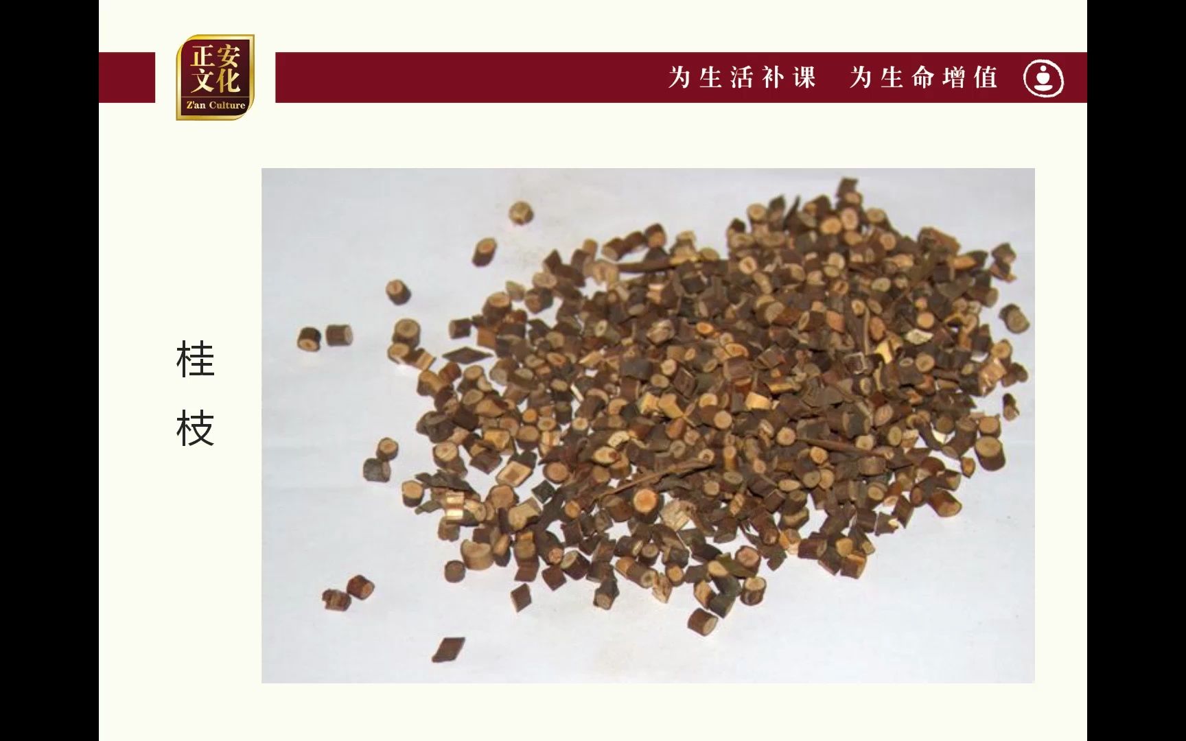 倪海厦老师弟子施合一经方药证学 4 解表药01 桂枝1