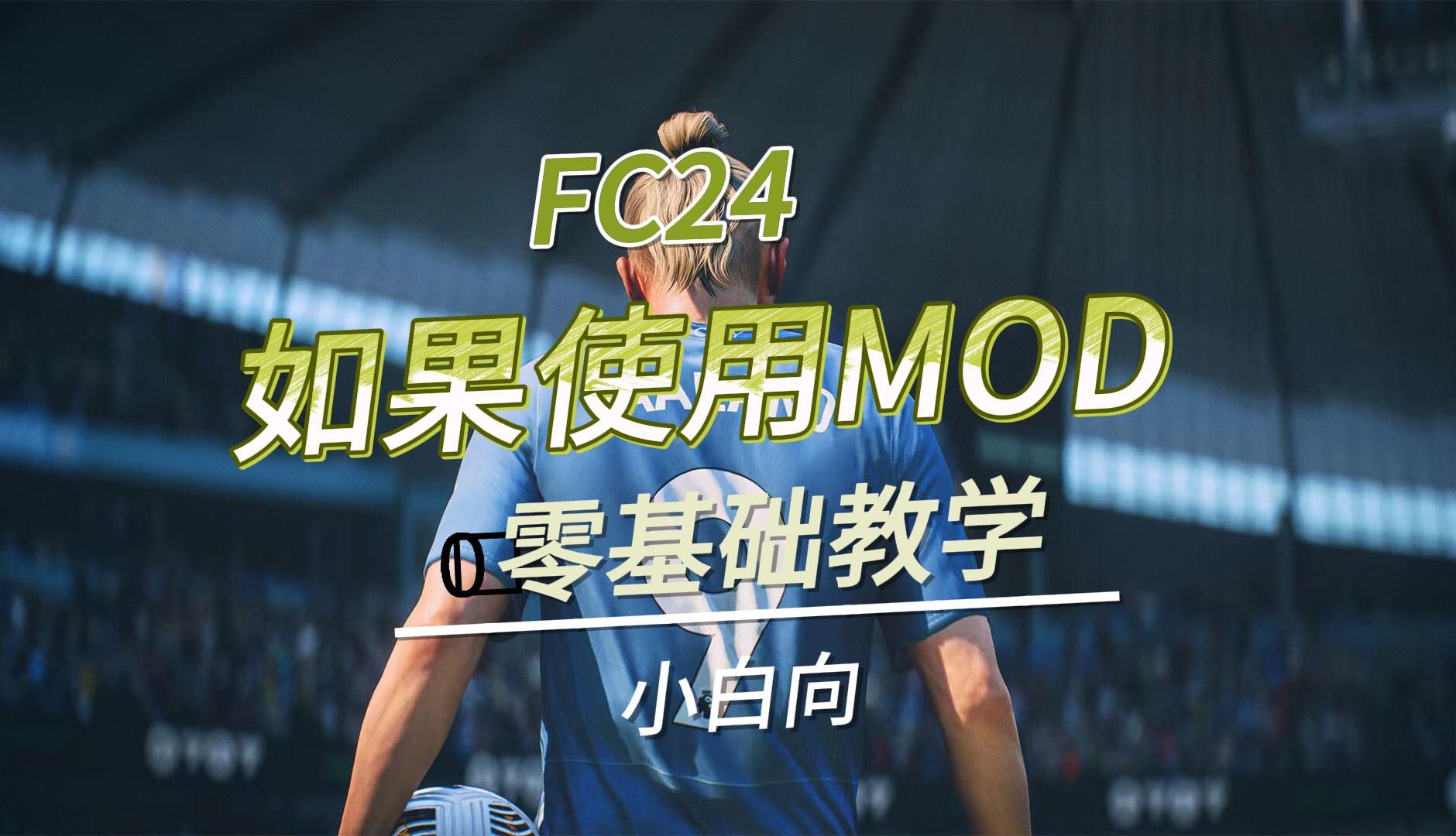 FC24怎么使用FMM(纯新手)