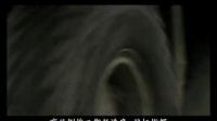 血的代价——重大事故案例剖析1集
