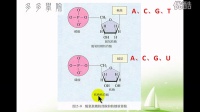 知识点6:DNA和RNA