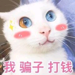 榴莲味皮酷衩子 