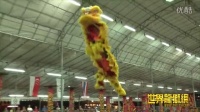 佛山南海中联黄飞鸿龙狮团