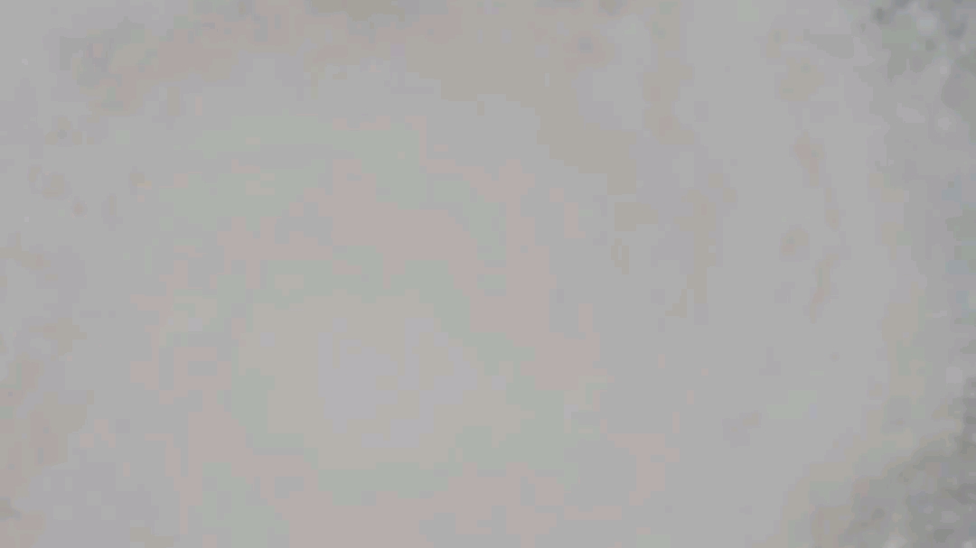 20210807读书记录(不推荐的书占大多数,可以说是一个没什么质量的...