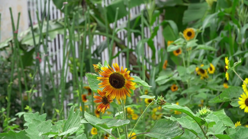 让自己被生活滋养着吧