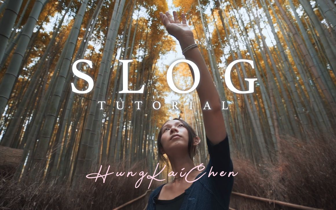 为何你该使用LOG拍摄?| HungKai Chen
