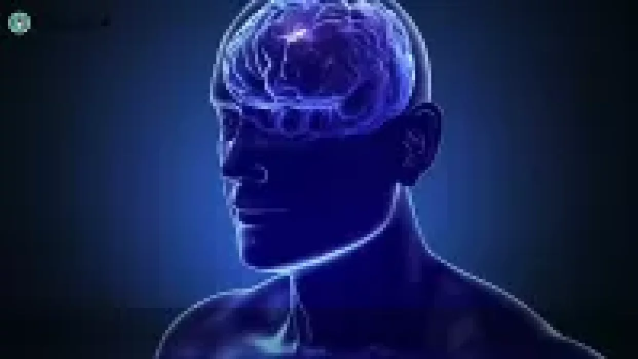 人类大脑的存储量换算下,相当多少G的内存?网友:我的是假脑?