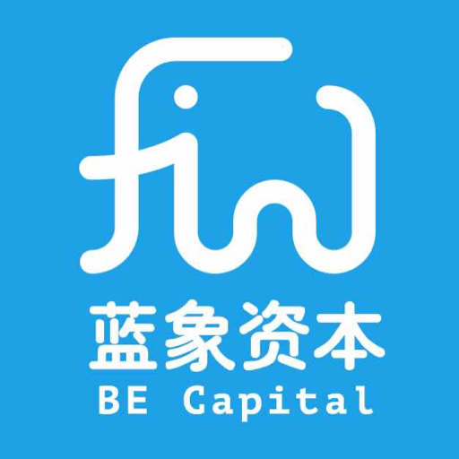 蓝象资本 
