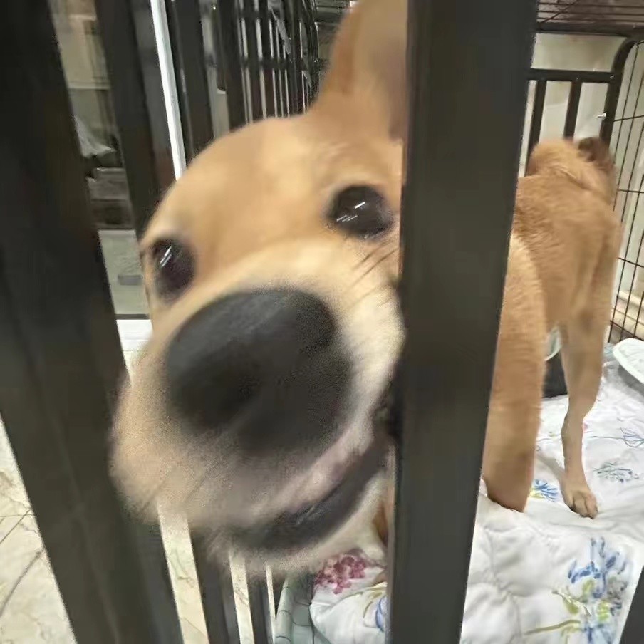 小洁数码推荐 
