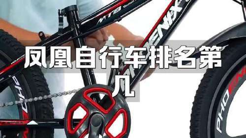 凤凰自行车如今还能排第几?真实排名令人意外!