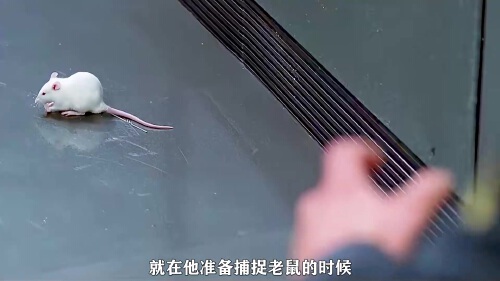 男人穿越平行世界消灭所有平行世界的自己