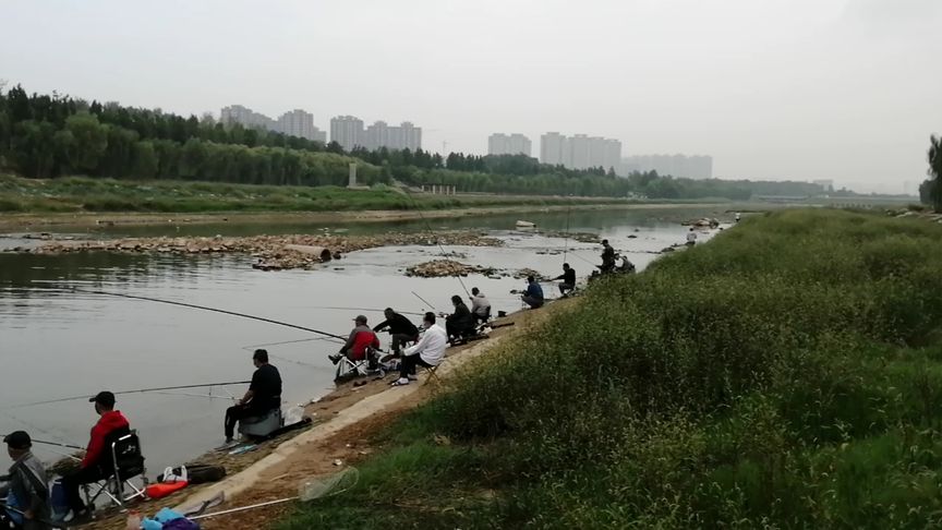 排污口聚集这么多钓鱼的