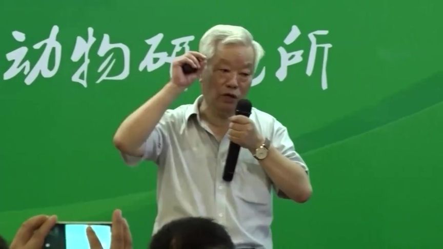徐有生 猪的解剖步骤(一)