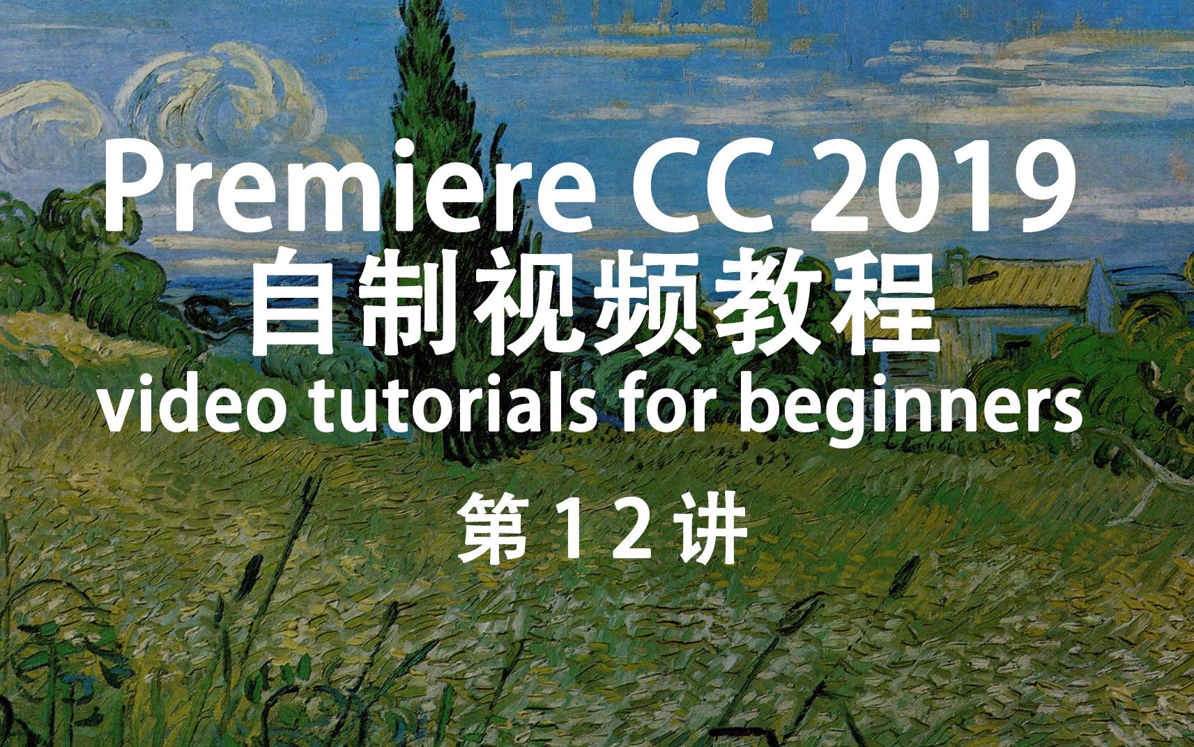 Premiere CC 2019 自制教程 使用快速模糊效果遮挡字幕