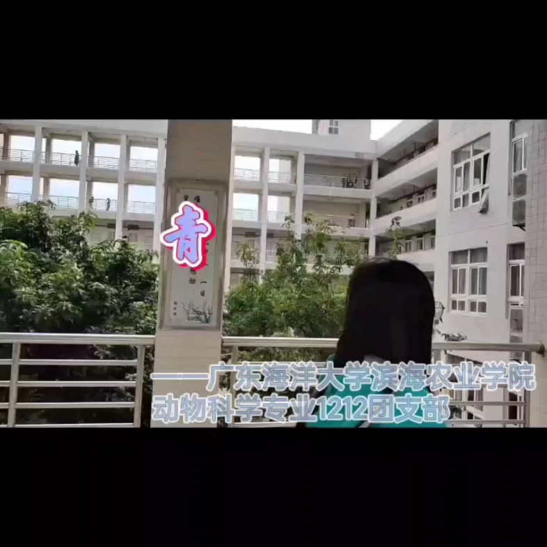 ...—广东海洋大学滨海农业学院动科1212团支书“活力在基层”主题活动