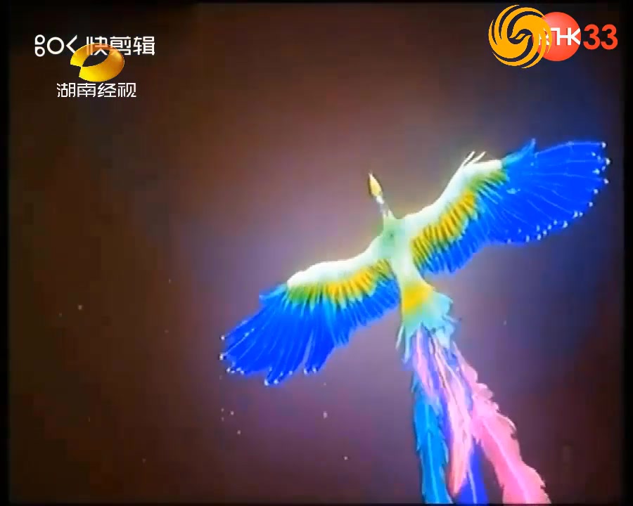 凤凰卫视、湖南经济频道老台徽ID