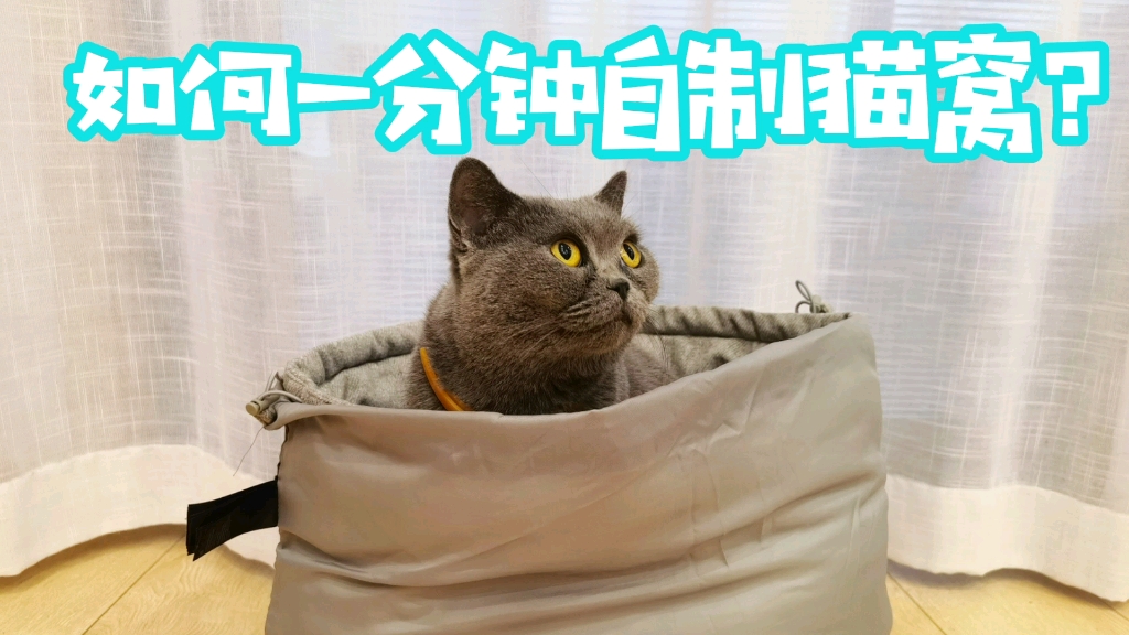 如何一分钟自制猫窝,旧棉衣diy改造暖冬猫狗窝