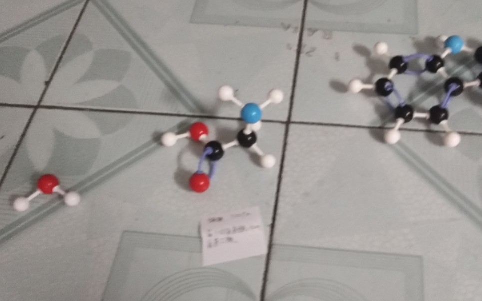 氨基酸分子大小比较(分子结构模型)