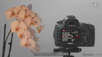 佳能5d3 Canon 5D III精讲教程05_03_使用手动设置白平衡