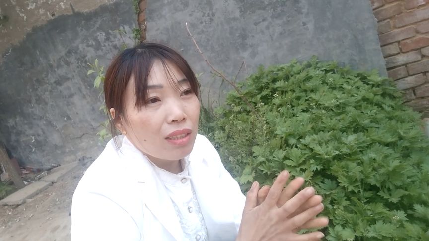 农村很不起眼的艾草,有很多用途和偏方,说到它的用法你知道多少